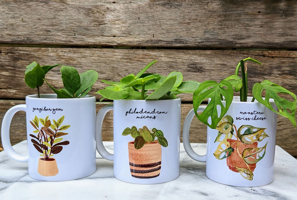 Plant Lover Mug - Indoor House Plants Care Tips – Harvest Collection AU